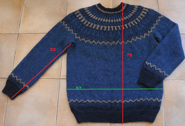 Ravelry: wwwera's Icelandic Sweater blue design 9&10
