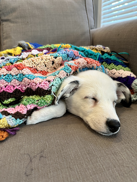 Ravelry: Scrap Wrap for Your Lap pattern by Sharree Rose