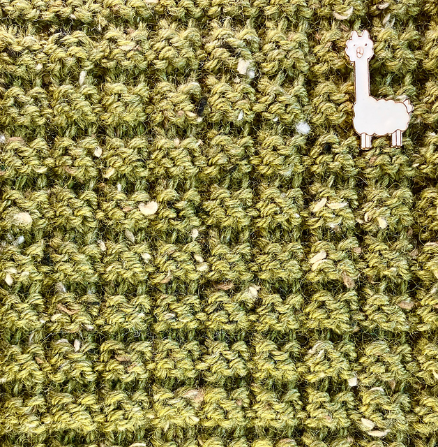 Ravelry: Weldon's Vest Dice pattern by Vicki Monthei