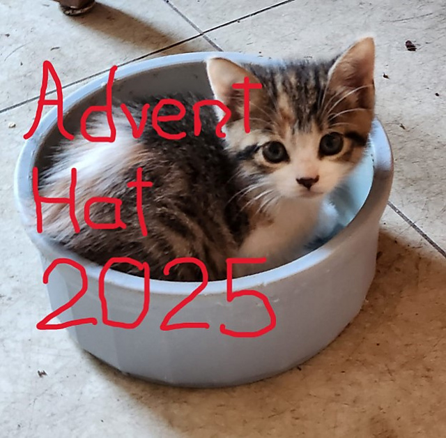 Ravelry: Advent Hat 2025 pattern by Tricia Weatherston