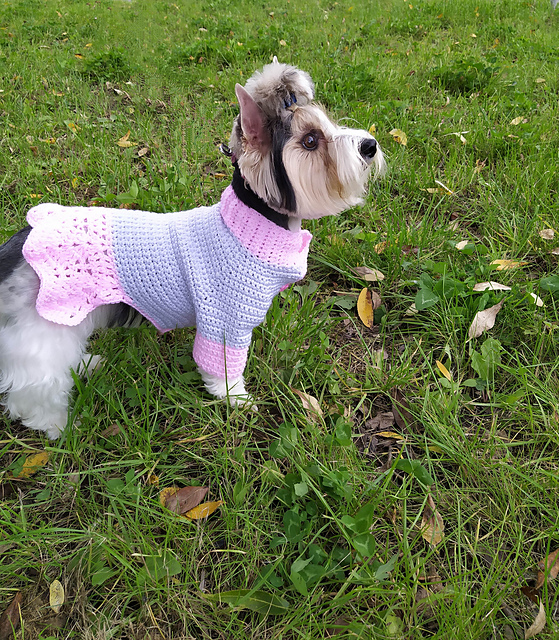Ravelry: “Cherry garden” pet dress. pattern by Zanna Millere